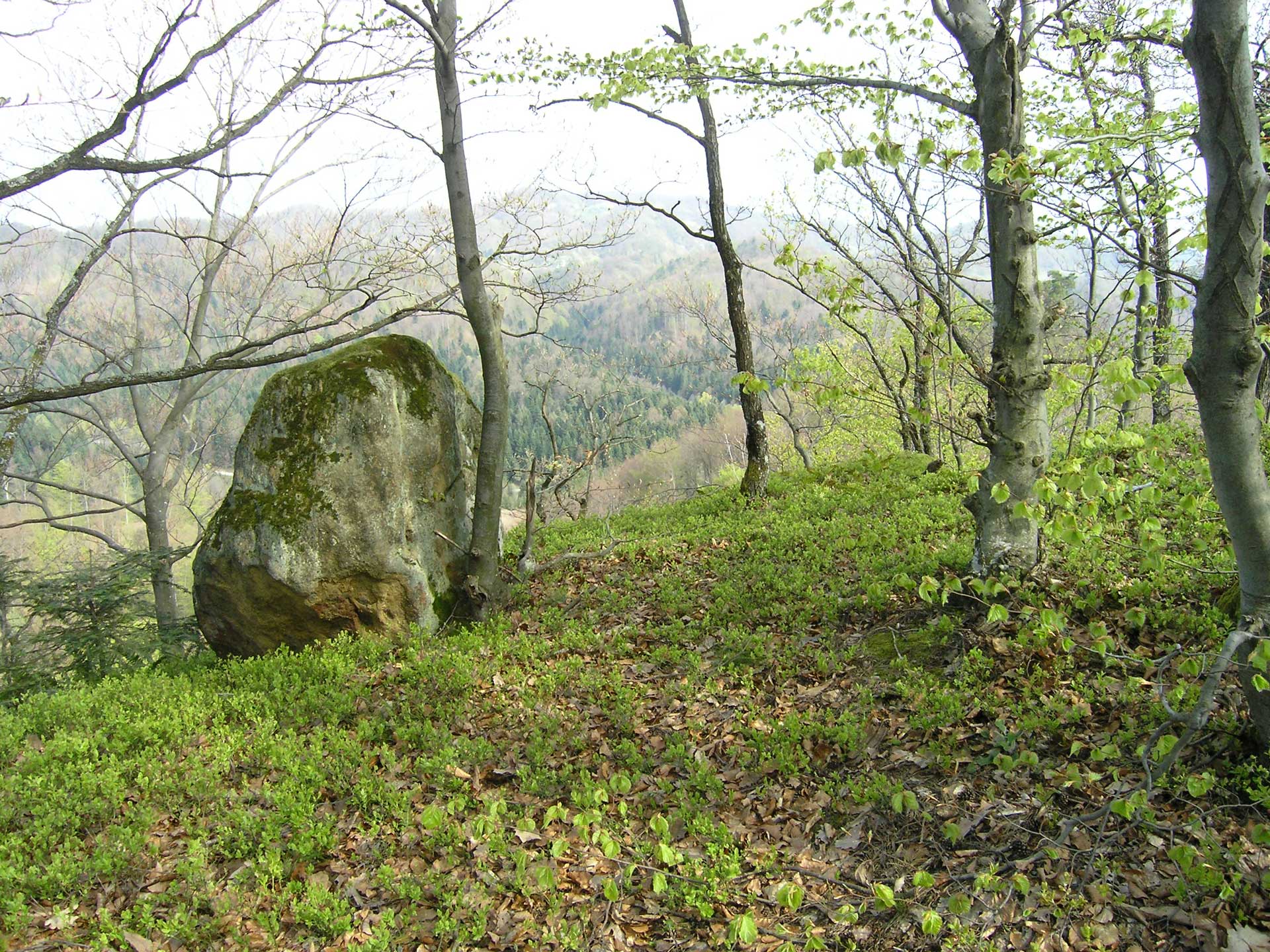 Kontakt - Javna ustanova "PRIRODA Varaždinske županije"
