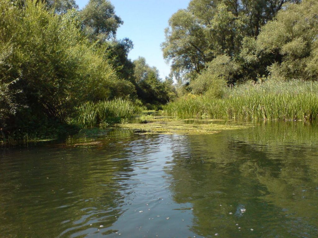 Močvarna staništa – najugroženija prirodna „tvornica“